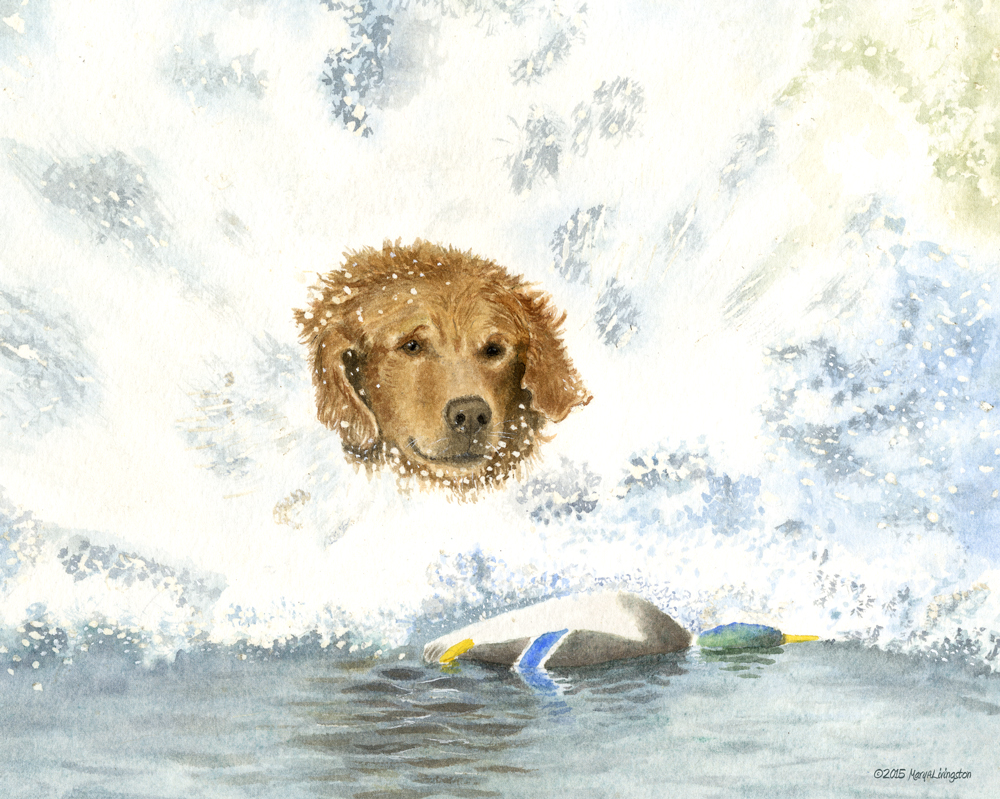 Ducks Ahoy | Sneaking Bliss